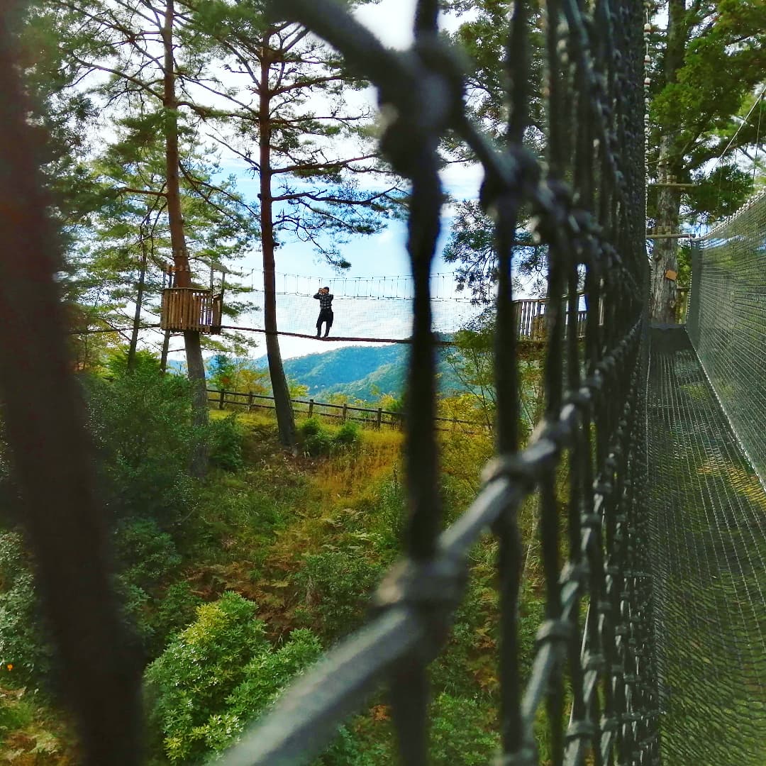 Spend time in a treehouse! Reservations for "Aerial Walk," a playground ...