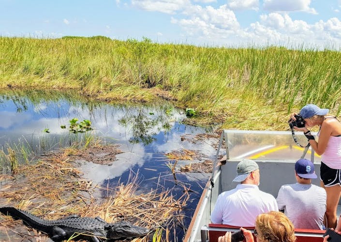 Everglades National Park nature walk & air boat ride - KKday