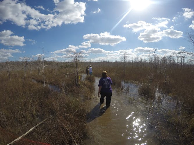 Everglades National Park full-day adventure tour with wet hike - KKday