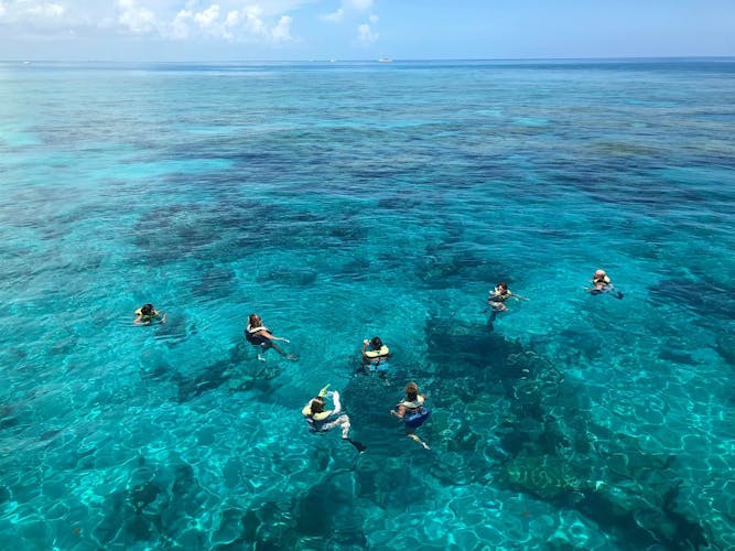 Key West afternoon reef snorkeling - KKday
