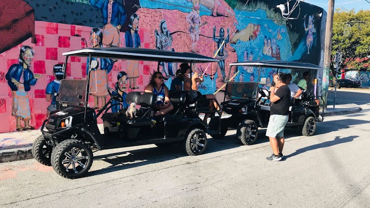 Wynwood graffiti golf cart tour - KKday