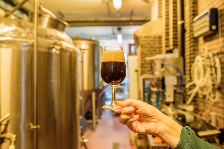 Beer tasting and craft brewery tour in Amsterdam - KKday