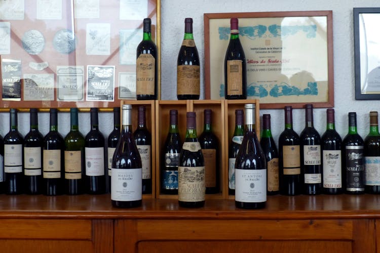 Discovering Priorat - The Monastery of Scaladei & Wine Tasting - KKday