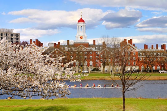 Harvard Square food tour - KKday