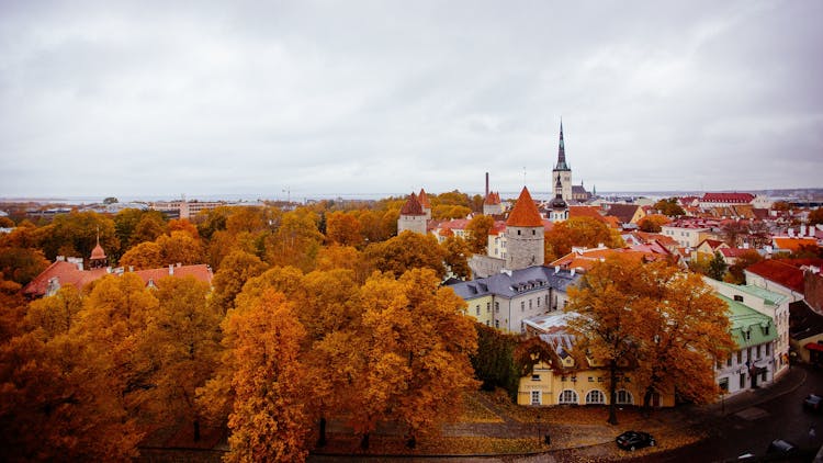 Private tour of Tallinn and the Estonian countryside - KKday