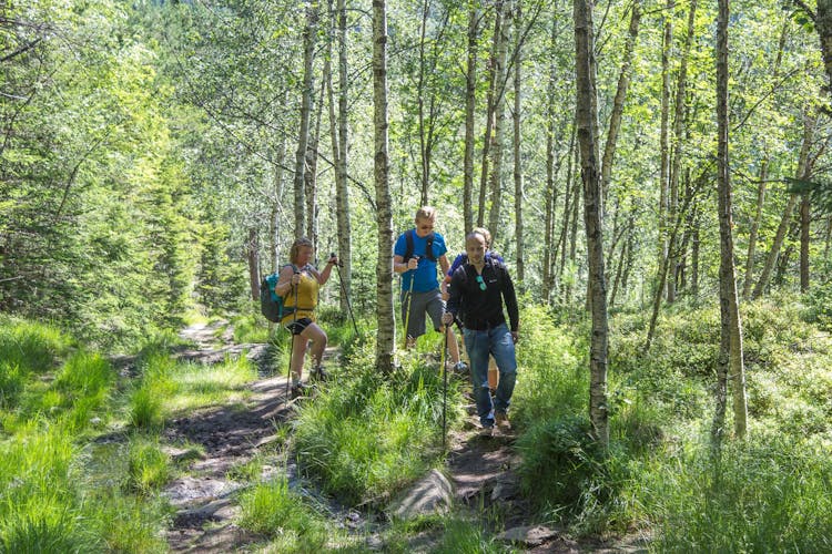 Full day fjord hiking trip to Mt Oksen - KKday