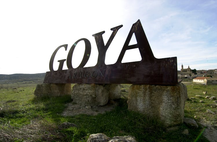 Full-day wine tour and visit to Goya's birthplace - KKday