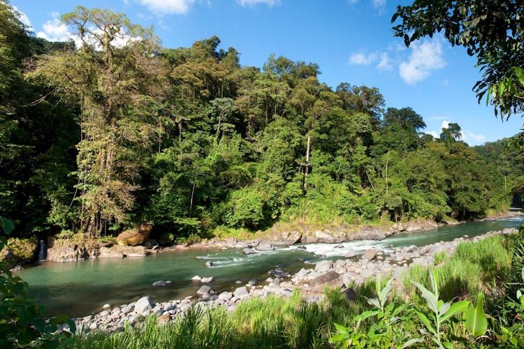 Rafting on Pacuare River Class III - IV Ticket - KKday
