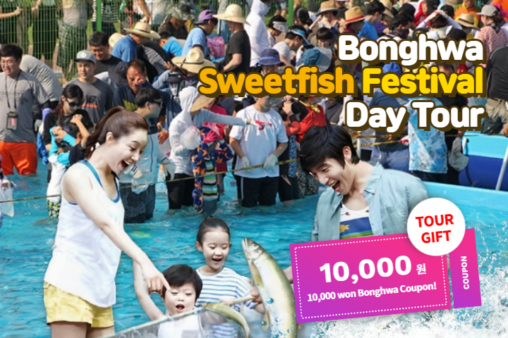 South Korea｜2024 Bonghwa Sweetfish Festival One-Day Tour｜Departs from ...