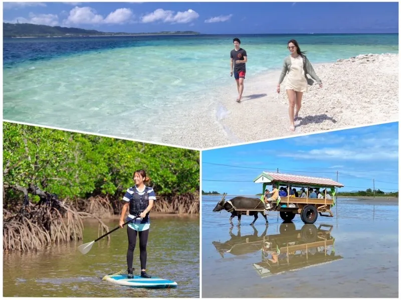 Iriomote Island Mangrove SUP / Canoe + Barasu Island Landing + Yubu ...