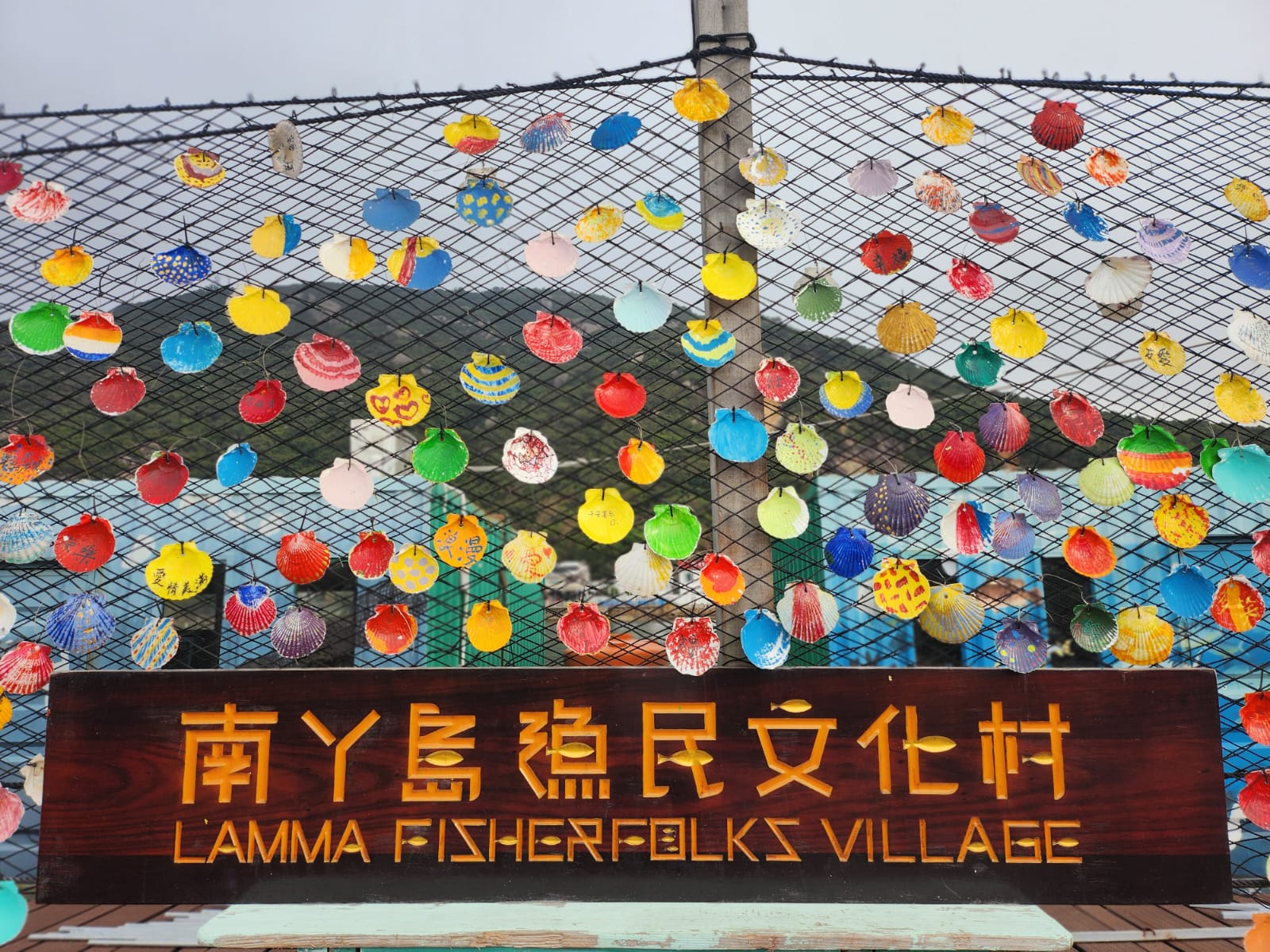 [Lamma Island] Summer Family Fun: Marine Life Mystery｜Unique Marine ...