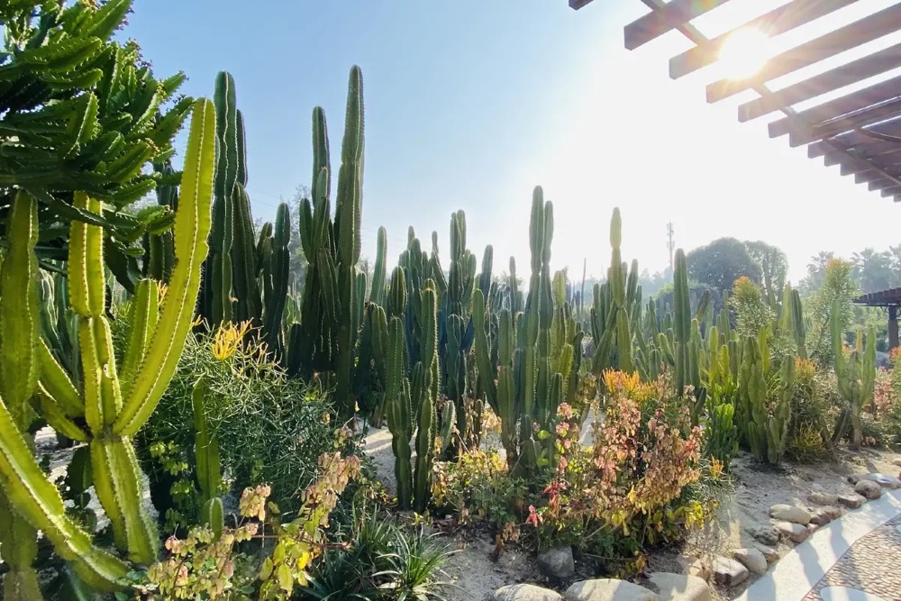 [China] Xiamen Garden and Botanical Garden Tickets - KKday