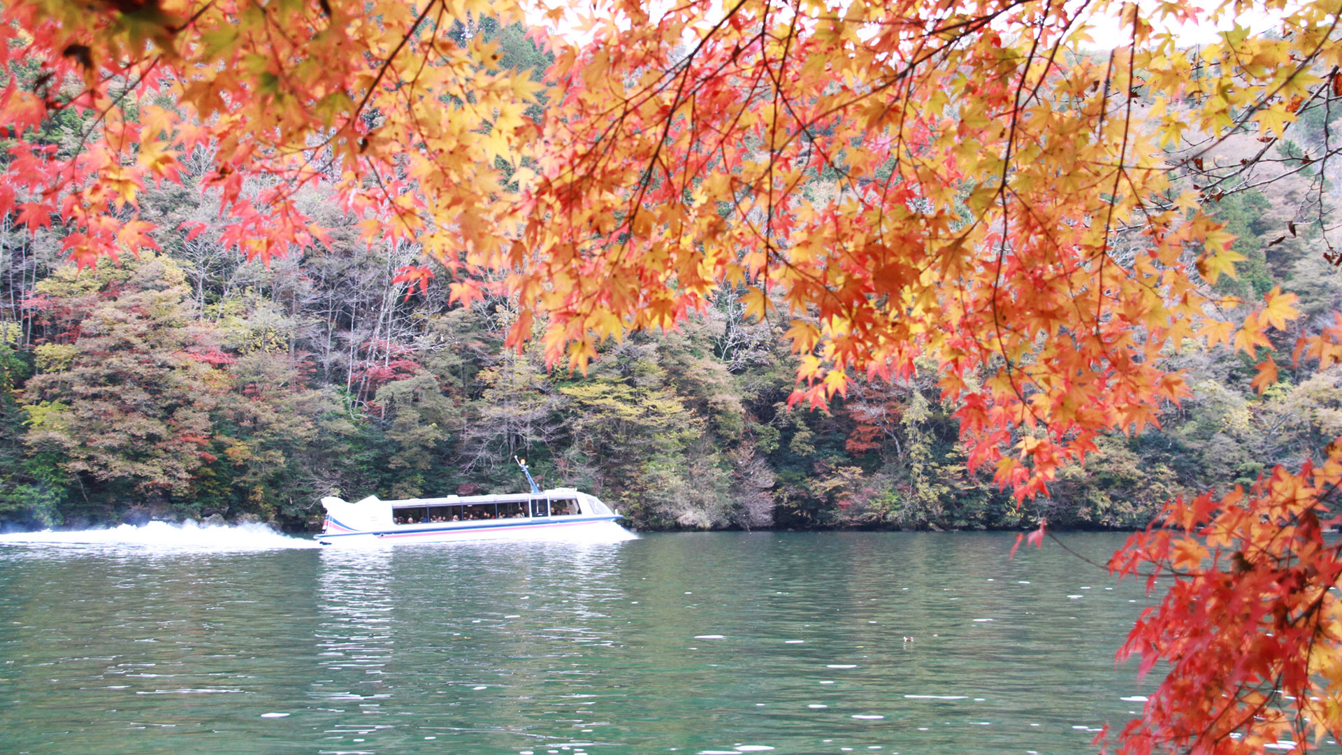 Ena Valley Cruise Self-Guided Tour - KKday