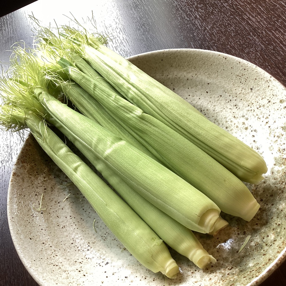 Kanagawa Prefecture Kamiooka/Nagatani | Seafood Nihonshu Dining Washo ...