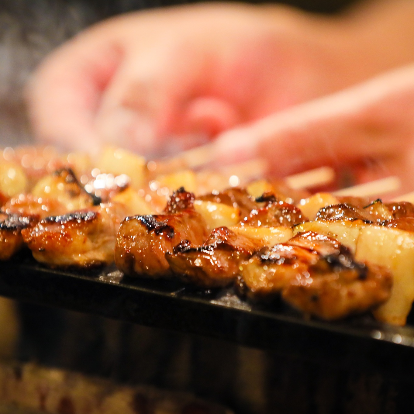 Susukino, Hokkaido | Izakaya Seitouha Muroran Yakitori Dankichi ...