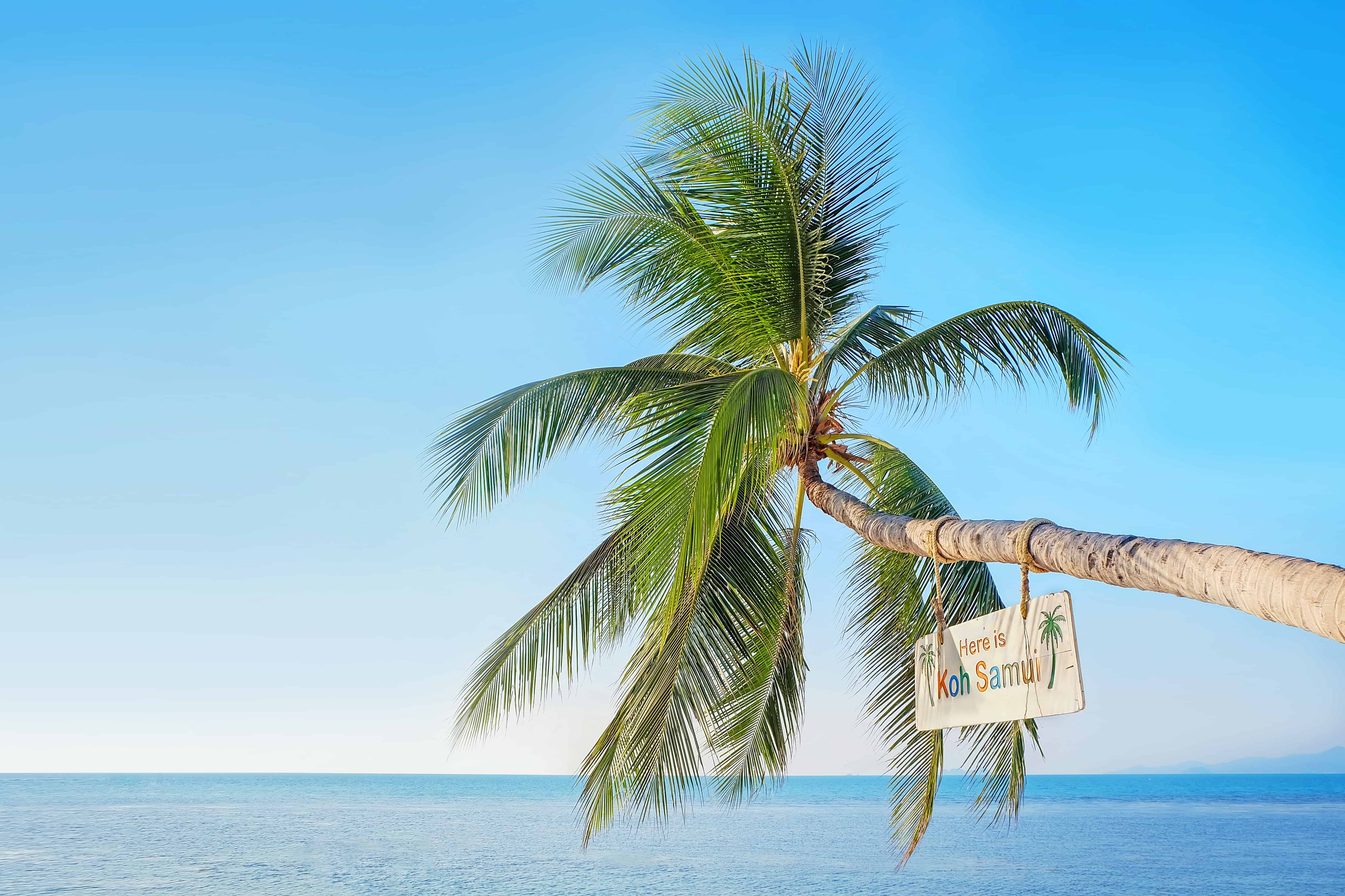 Koh Samui (USM) Private Transfer - KKday