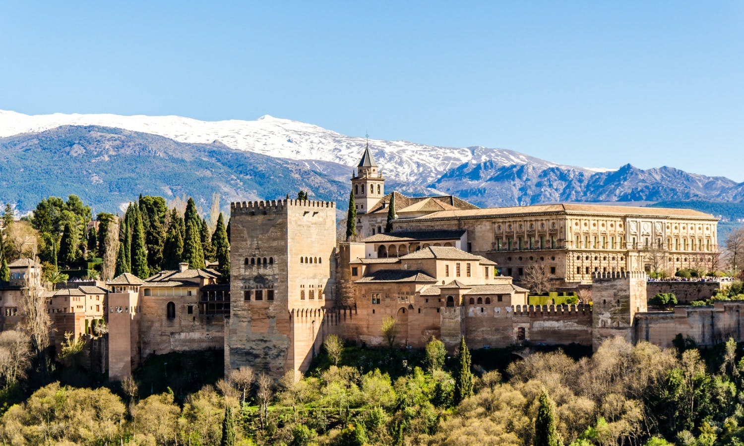 Alhambra & Generalife Ticket with Skip the Line Entrance and Guided ...