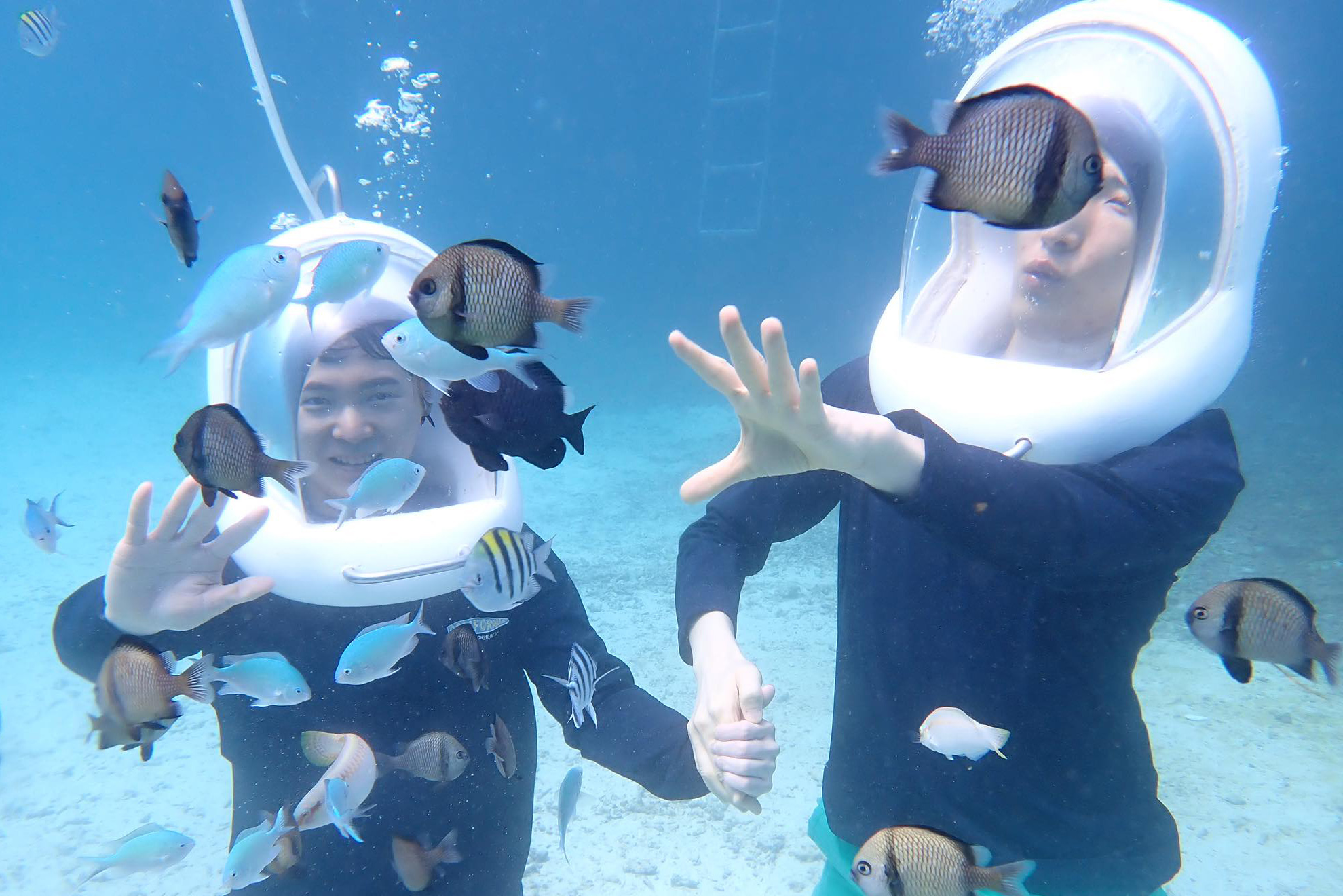 Panglao Bohol Helmet Diving with Photos and Videos | Philippines - KKday
