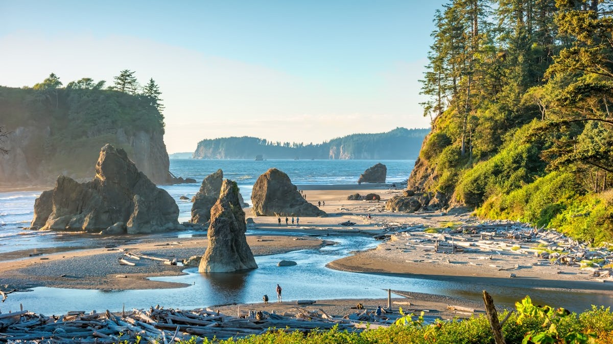 Olympic National Park + Hurricane Bluff/Ediz Hook 2-Day Group Tour from ...