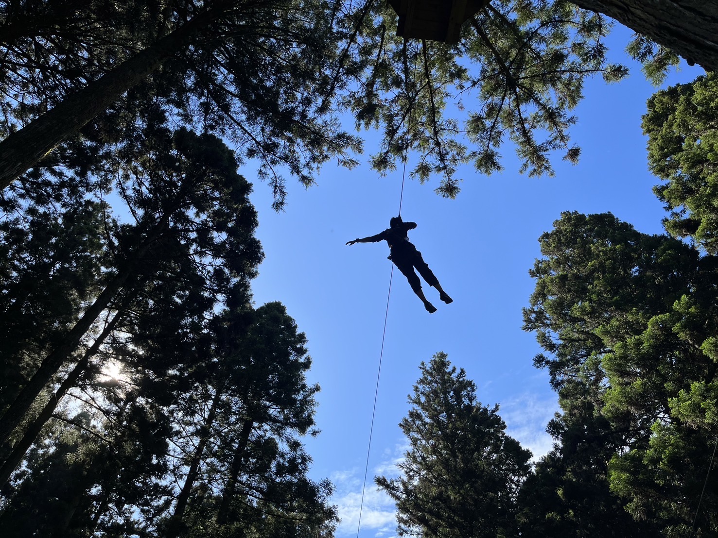 Enjoy nature on an aerial walk in the Itoshima 100-Year Forest! Treetop ...