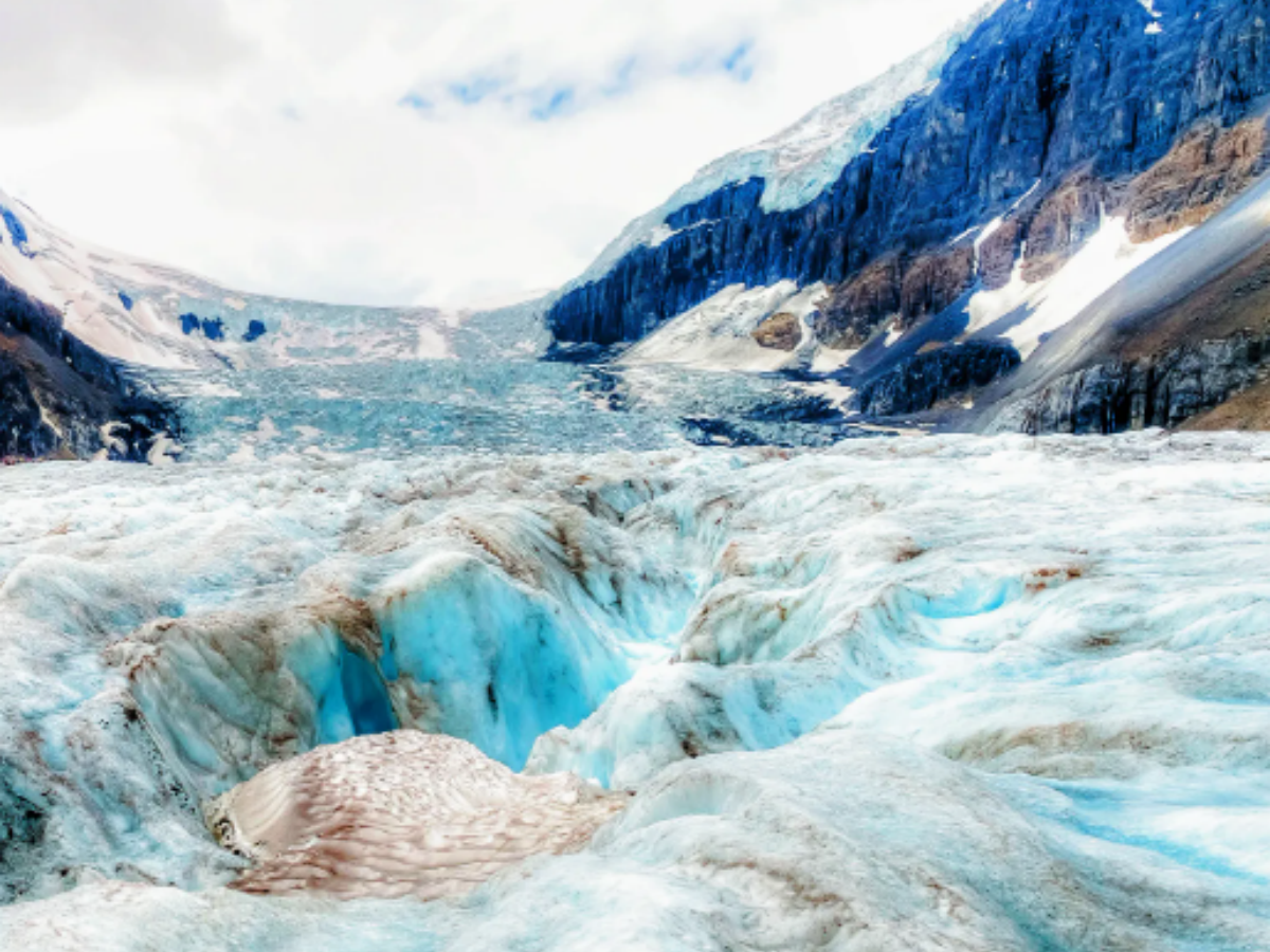 Canada | Calgary Round Trip Columbia Glacier + Peyto Lake + Bow Lake ...