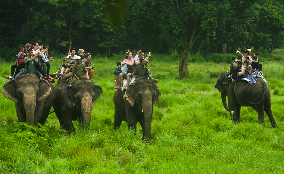 Chitwan National Park Tour - jungle activities in Chitwan - KKday