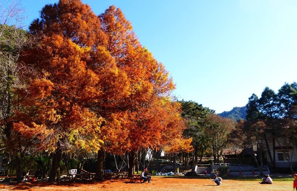 Aowanda Autumn Maple Day Tour - KKday