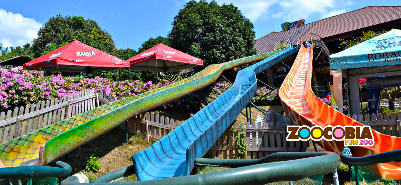 Zoocobia Fun Zoo Admission Ticket | Philippines - KKday