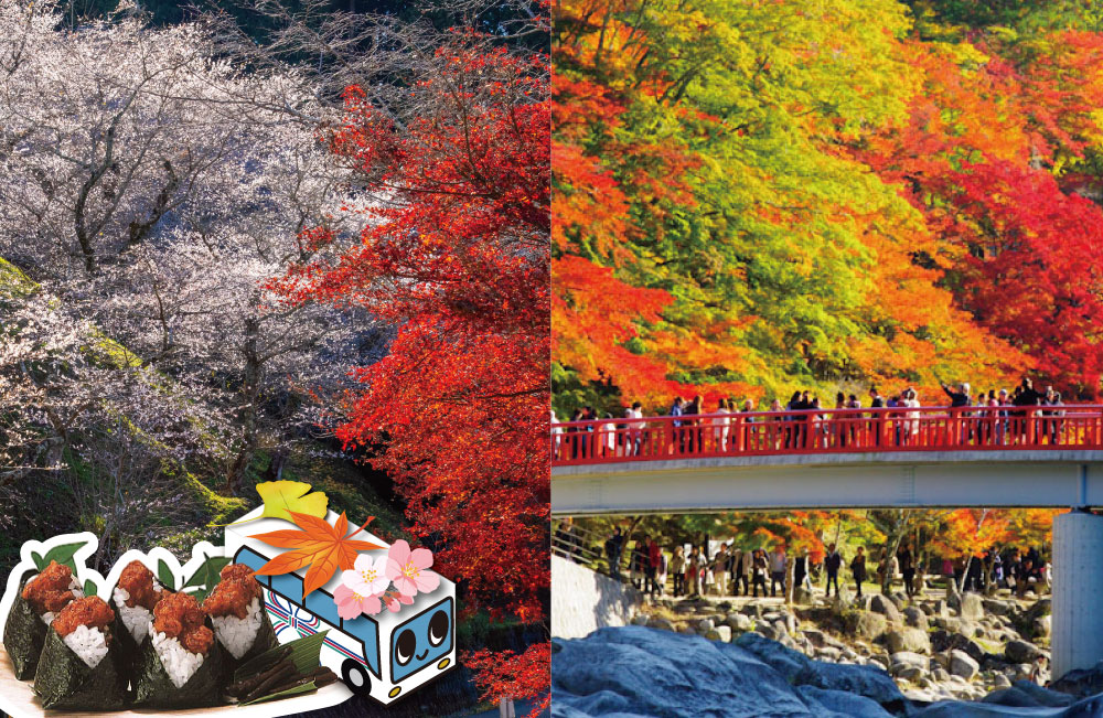 [Departing from Nagoya] One-day tour for one person: "The combination ...