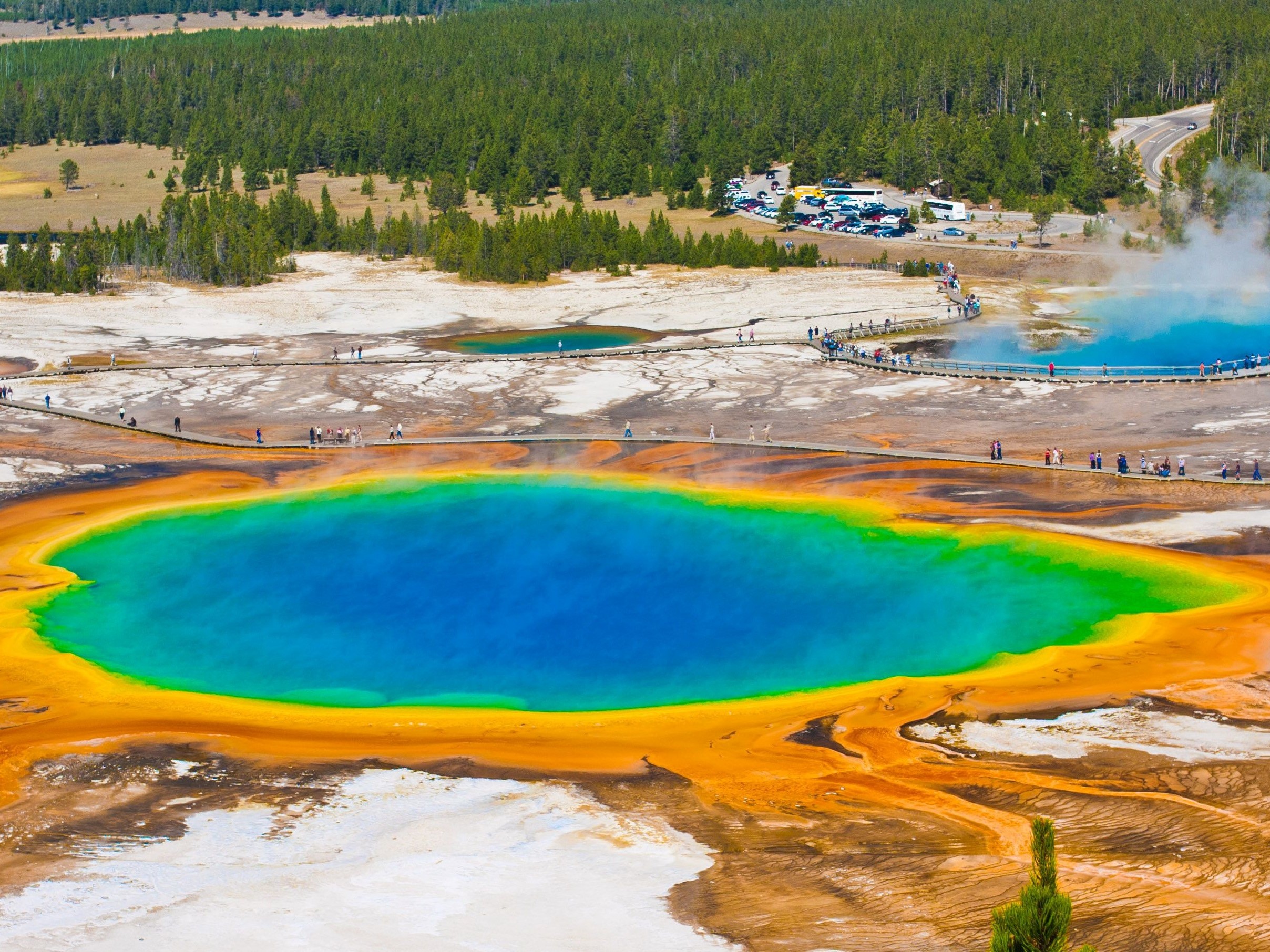 3-Day Tour from Salt Lake City: Great Salt Lake, Yellowstone, Elkhorn ...