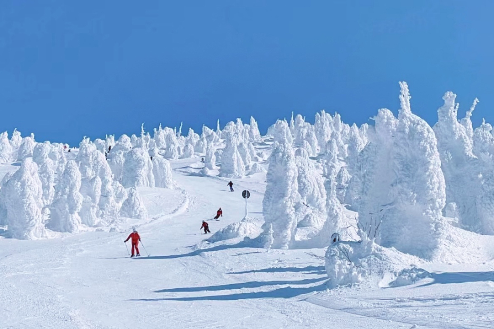 [Winter Only] Two-Day Tohoku Tour | Ginzan Onsen, Zao Ice Trees, Fox ...