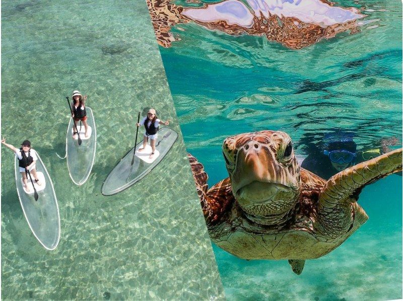 《Clear Sup + Beach Snorkeling》 2-hour plan - KKday