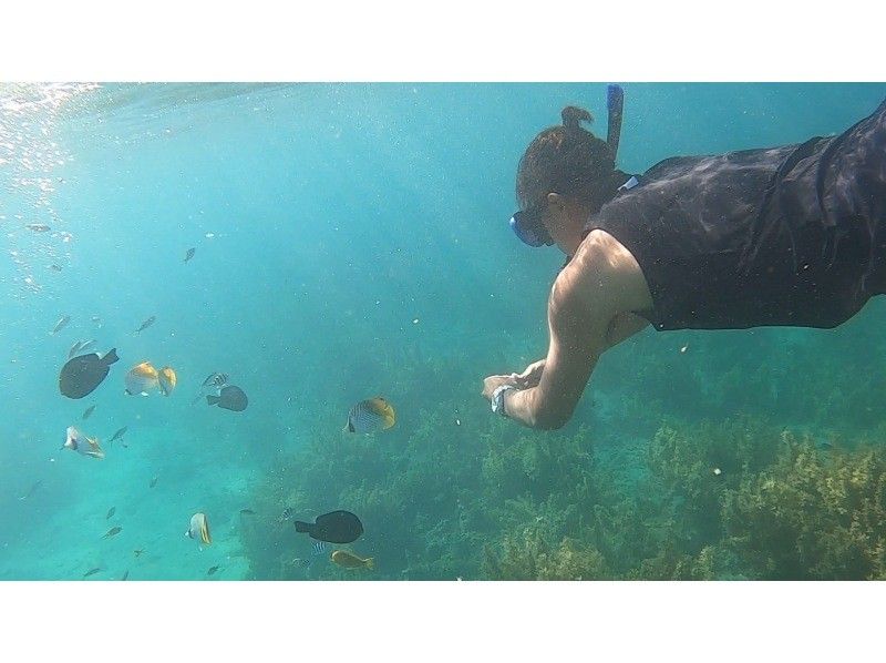 [Okinawa, Motobu Town] Relax and enjoy ♪ Skin diving on the northern ...