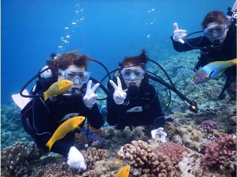 [Okinawa Prefecture, Motobu Town] Don't worry if it's your first time ...
