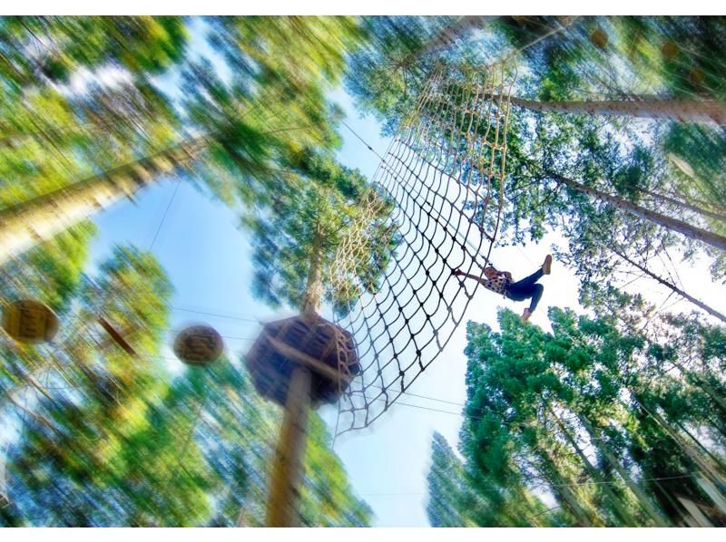Enjoy forest fun in Shiga Prefecture! A dynamic adventure course (for ...