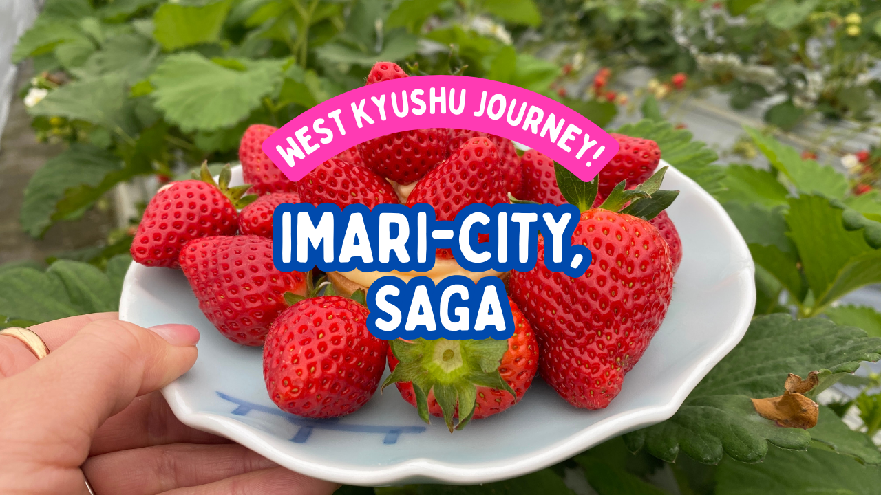 Imari City, Saga Prefecture [Premium Plan] Premium Strawberry Picking ...