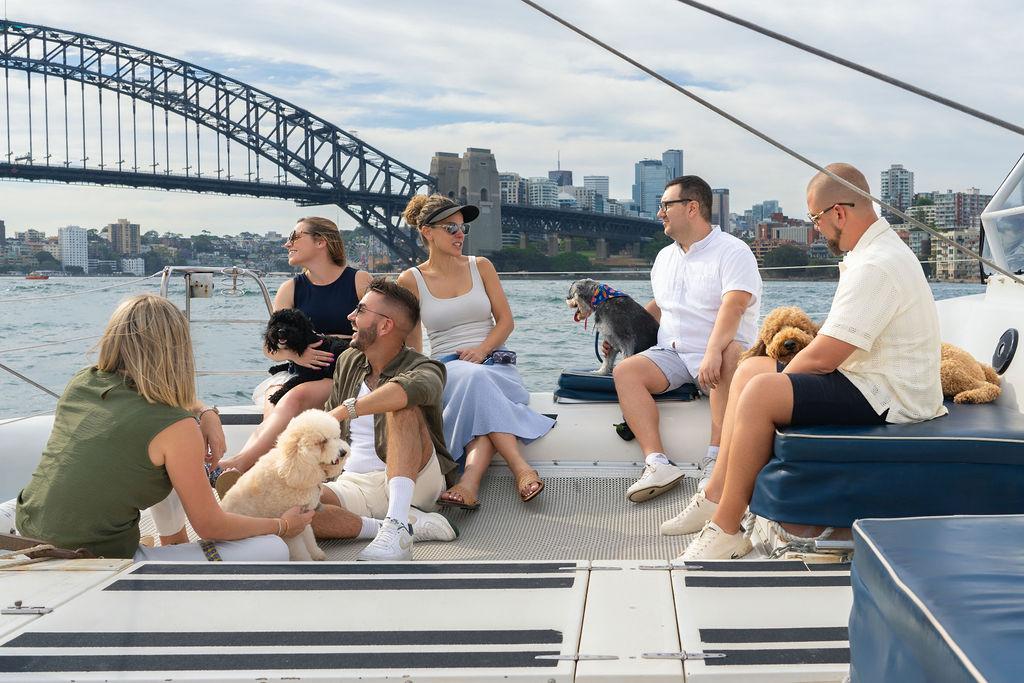 Sniff, Snack & Set Sail : Sydney's 1st Dog Friendly Harbour Cruise ...