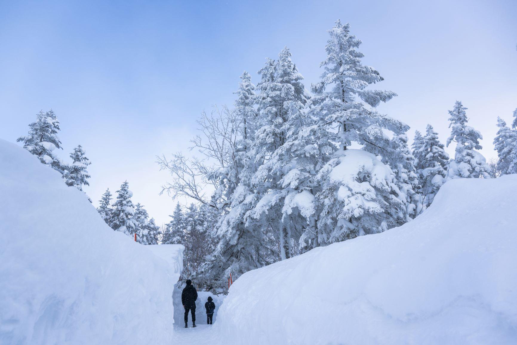 A day trip to Shin-Hotaka Ropeway and Snow Corridor in Japan (lunch ...