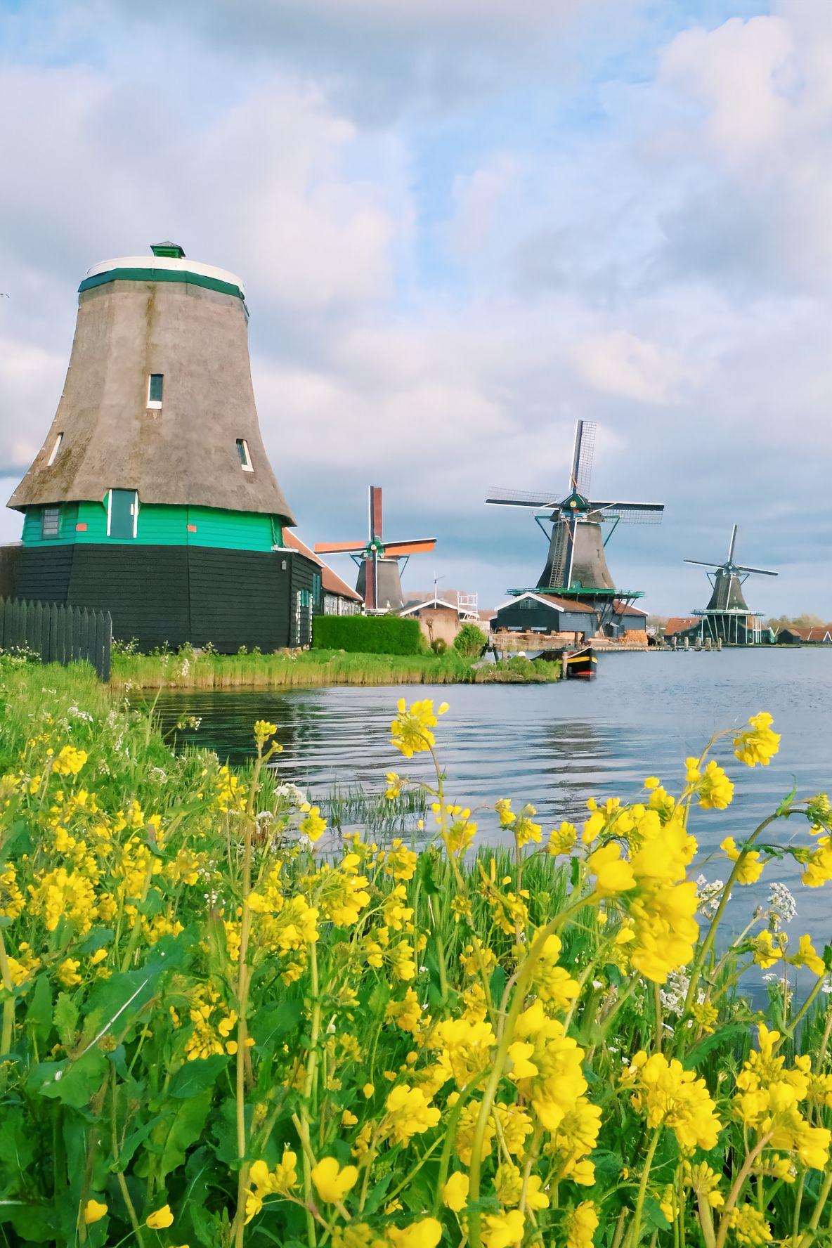A day trip from Amsterdam/The Hague, Netherlands to Giethoorn, Windmill ...