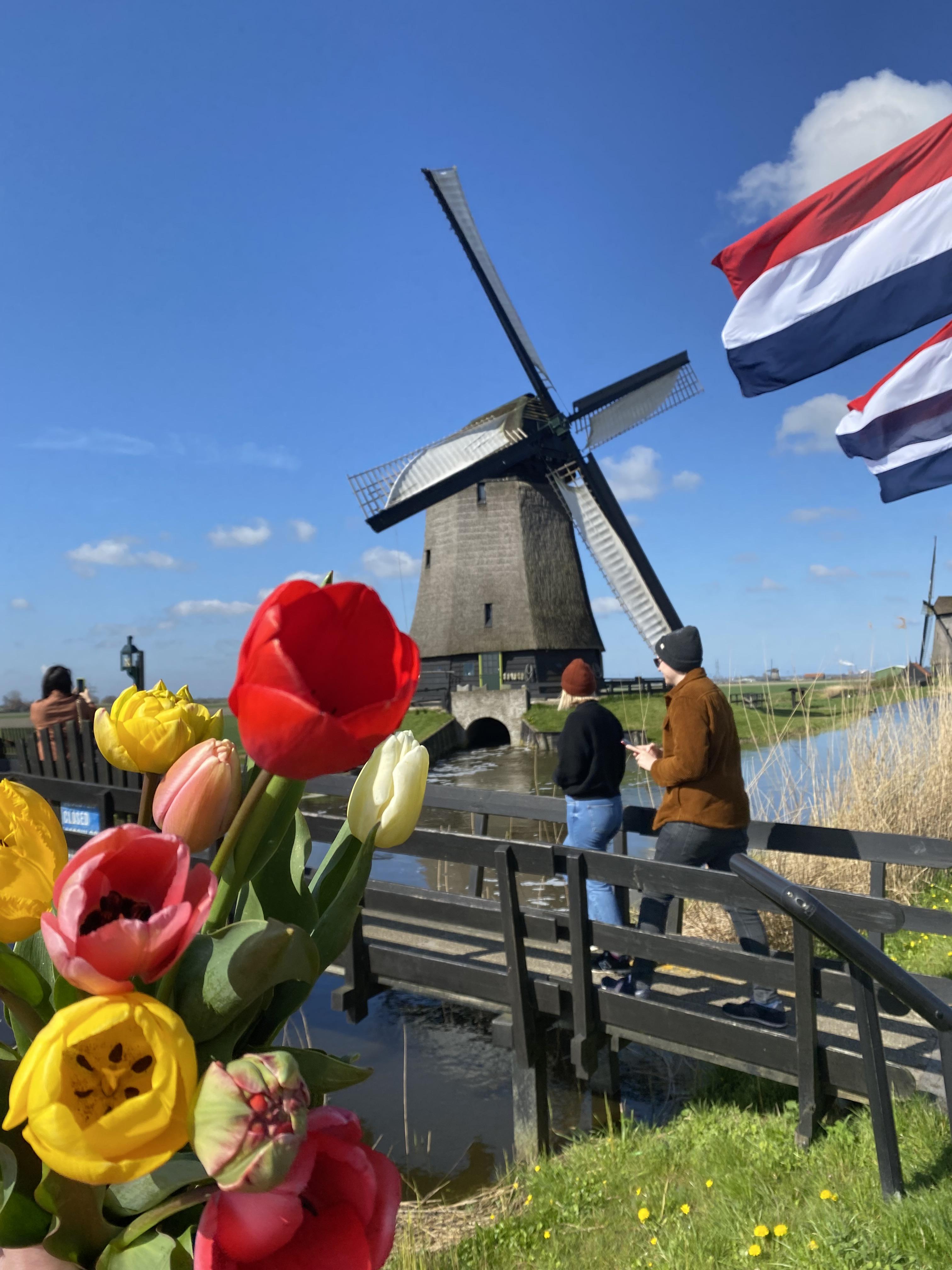 Amsterdam: Experience Edam, a Cheese Tasting, and a Windmill - KKday