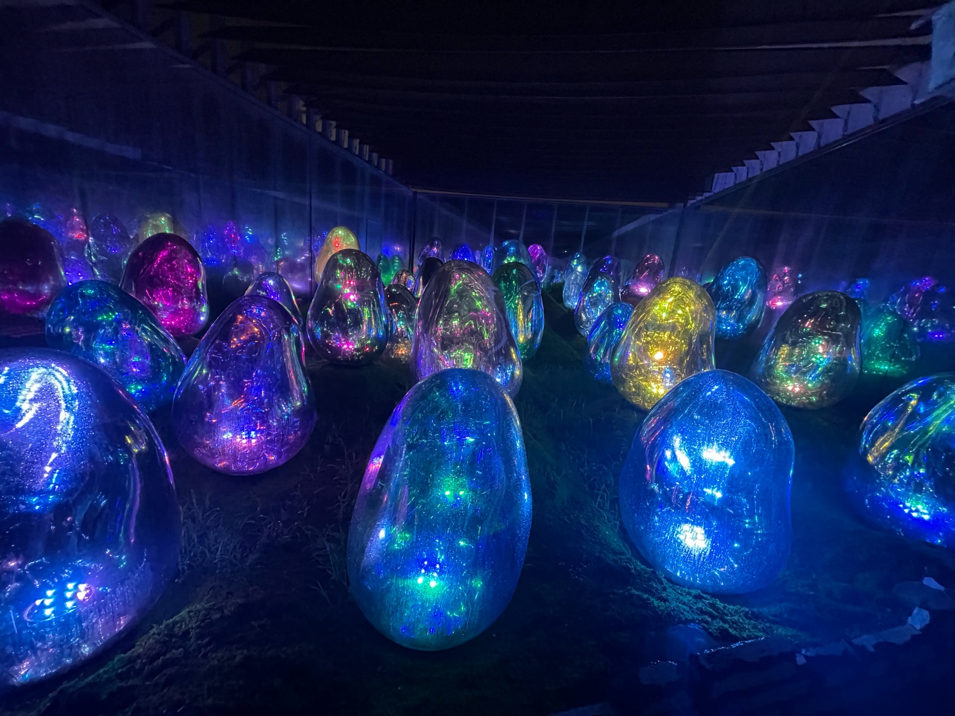 Japan TeamLab Planets TOKYO Ticket - KKday