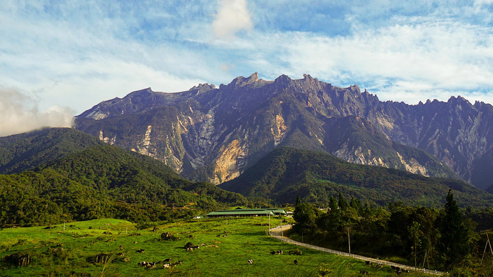Kota Kinabalu Day Tour: Mt. Kinabalu, Poring Hot Spring & Canopy Walk ...